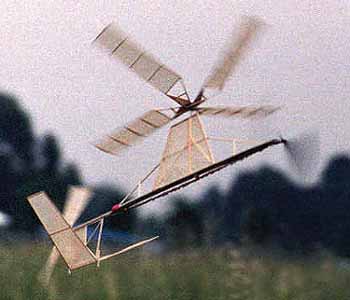 Free Flight Gallery